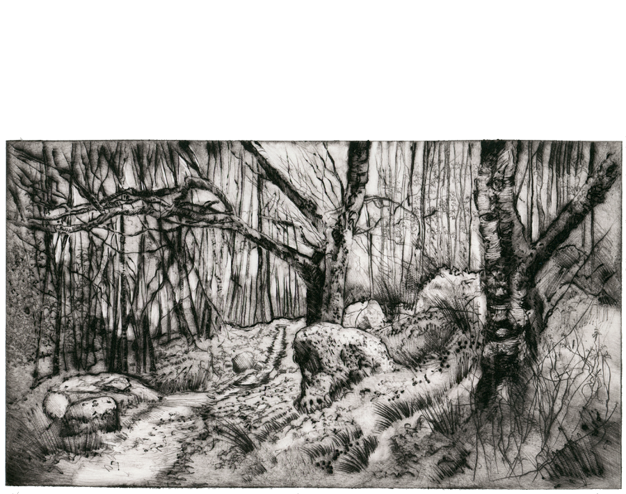 Yorkshire Landscapes-Monoprint & Drypoint - Sarah Garforth